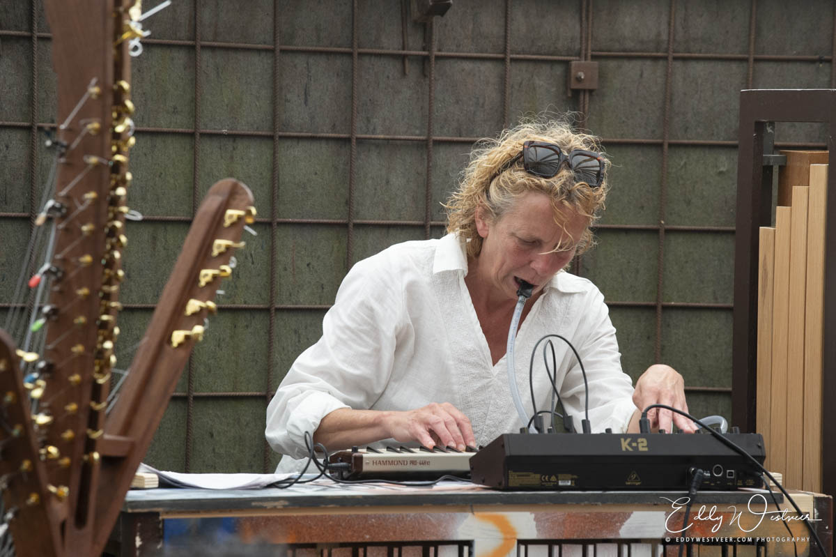 Wereldjazz van Boi Akih kleurt de tent – jazzradar.com